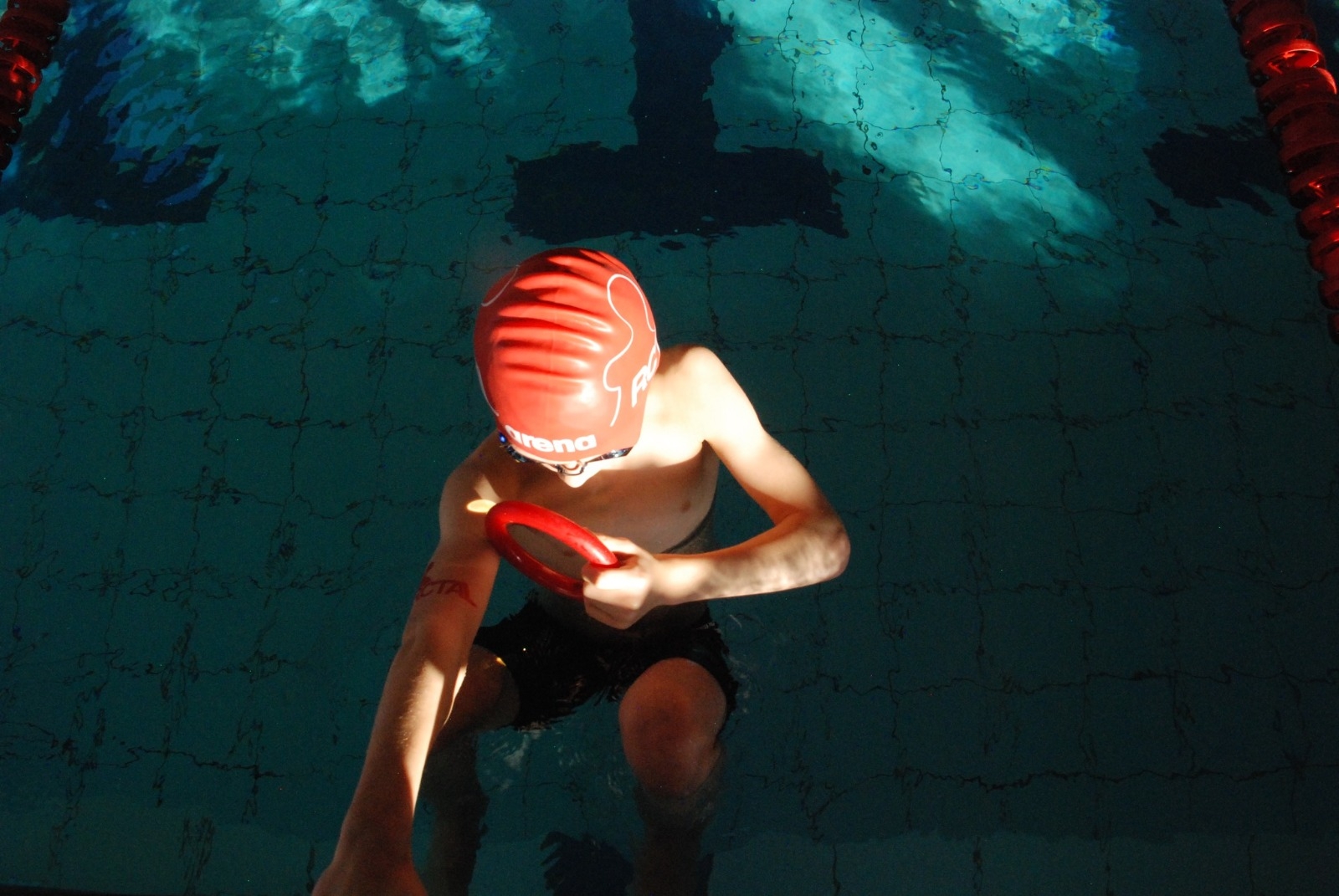 Sportprikkels Asse - Zwemmen - KANNET